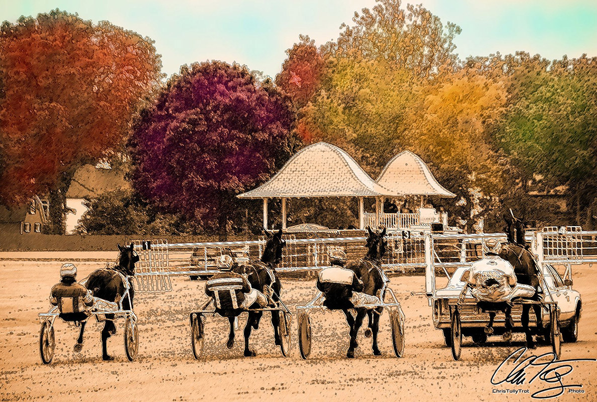 Chris Tully Trot – Life's a road…take the scenic route!